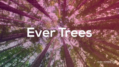 Ever Nimble Donates To Trillion Trees Australia For Every Laptop Purchased